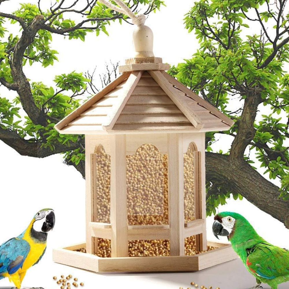 Wooden Transparent Household Bird Feeder – SAVY USA