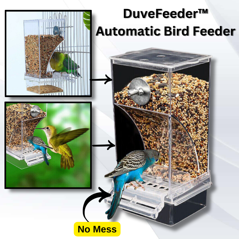 DuveFeeder™ No Mess Automatic Bird Feeder – SAVY USA